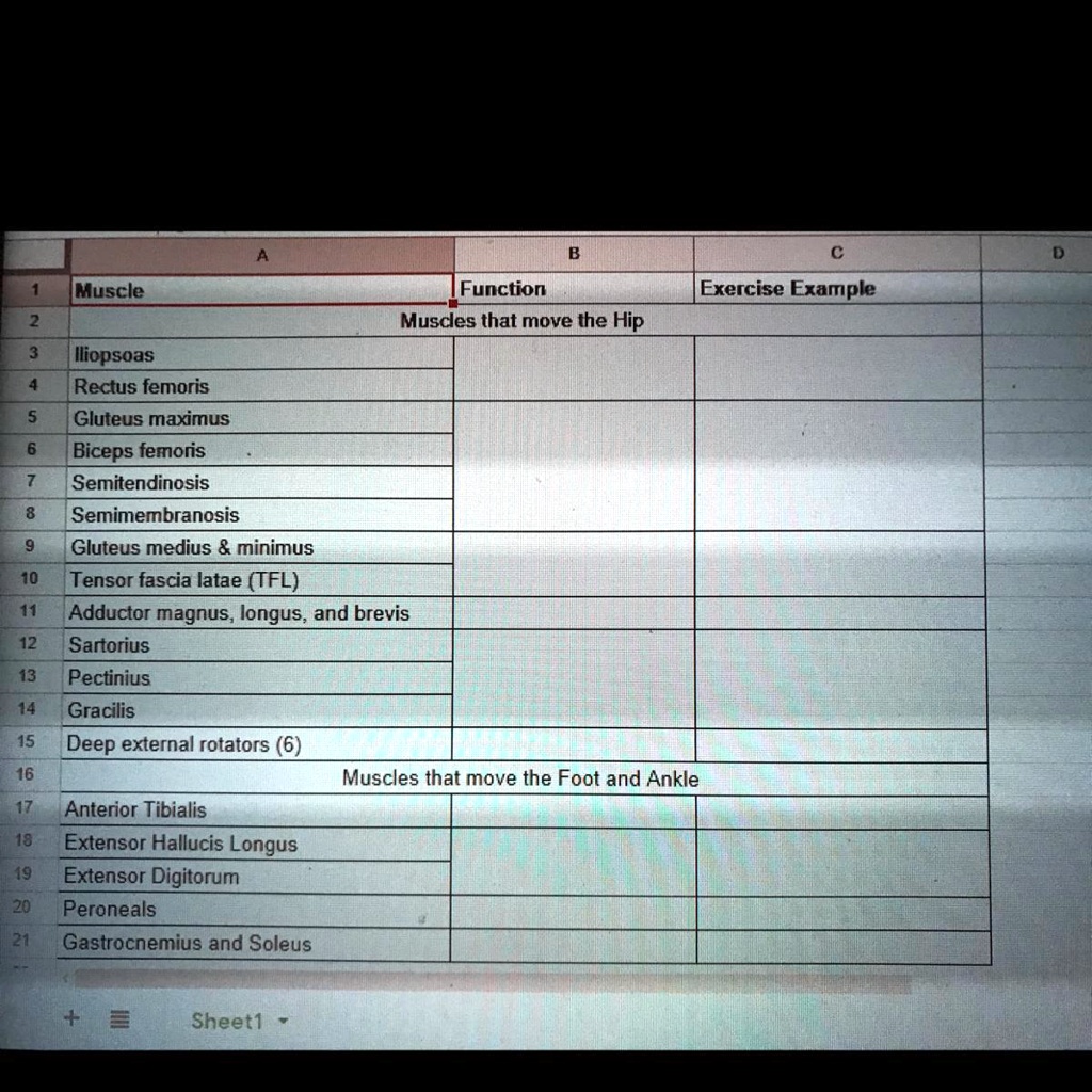 SOLVED: Muscles that move the hip: Function exercise examples Muscles ...