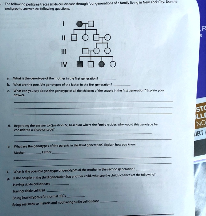 Sickle Cell Anemia Pedigree With Genotypes