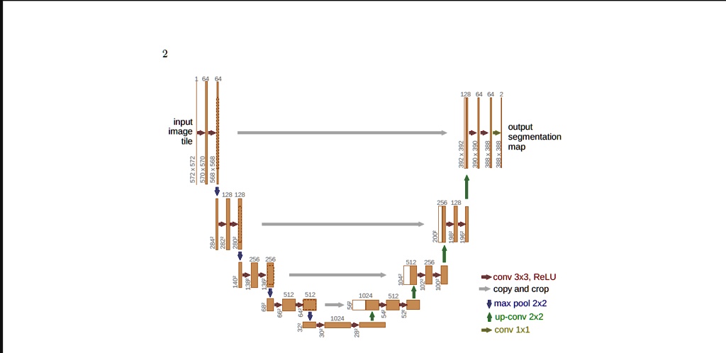 2 input image tile 572 x 572 570 x 570 568 x 568 128 128 256 64 512 512 ...