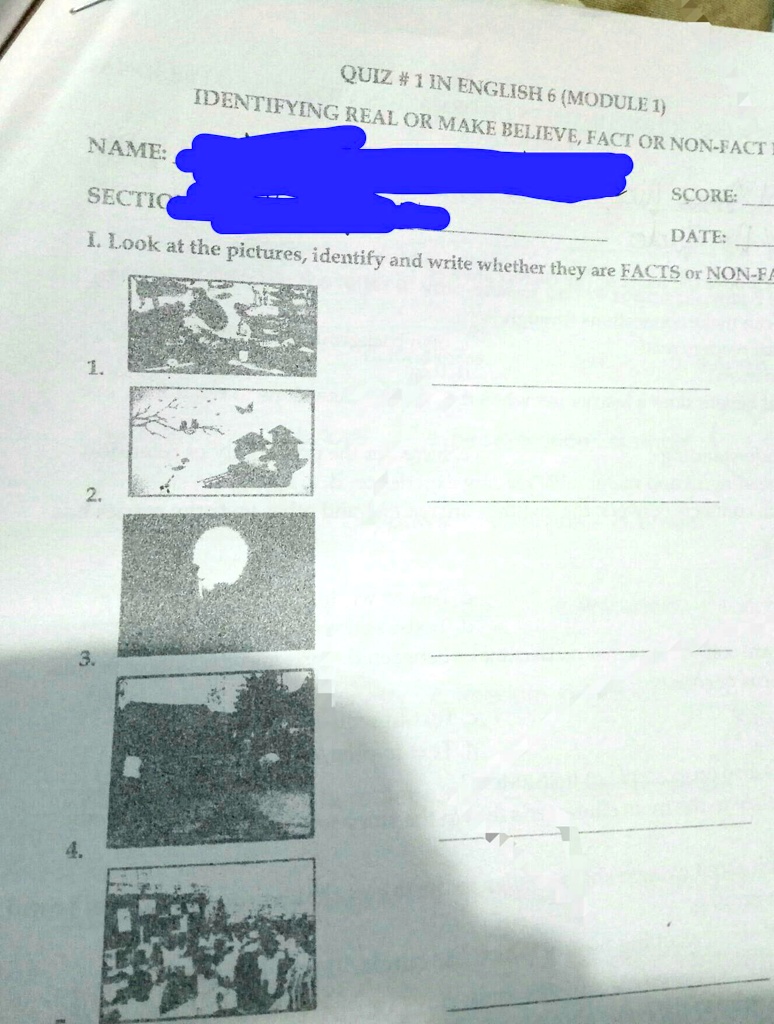 look at the pictureidentify and write whether they are fact or non fact ...