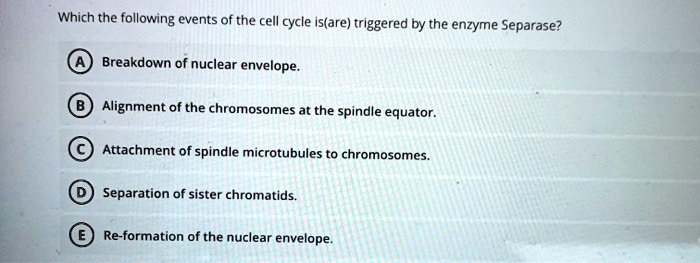 SOLVED: Which the following events of the cell cycle is(are) triggered ...