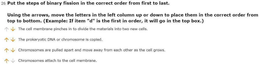 SOLVED: 'can you please help? :(( 26.Put the steps of binary fission in the correct order from ...