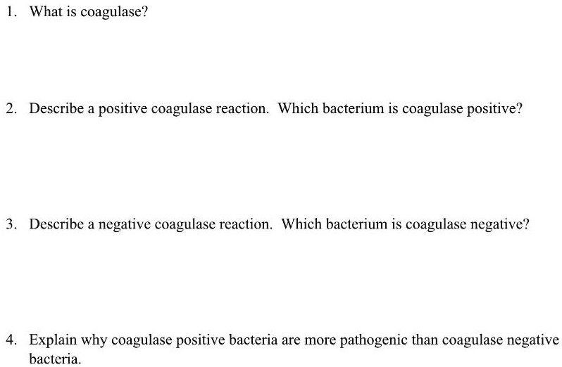 1. What is coagulase? 2. Describe a positive coagulase reaction. Which ...