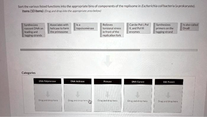 SOLVED: Sort the various listed functions into the appropriate bins of components of the ...