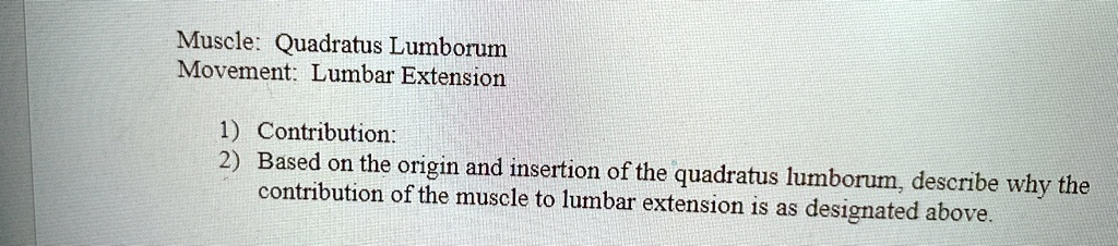 Muscle: Quadratus Lumborum Movement: Lumbar Extension 1) Contribution ...