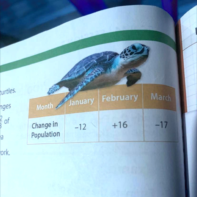 SOLVED: A marine rescue center starts the year with 44 sea turtles. The ...