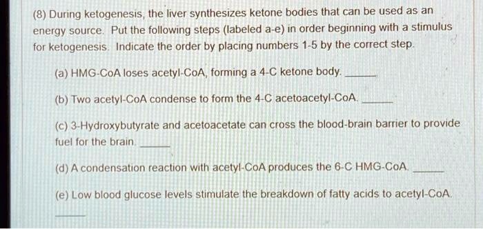 (8) During ketogenesis, the liver synthesizes ketone bodies...
