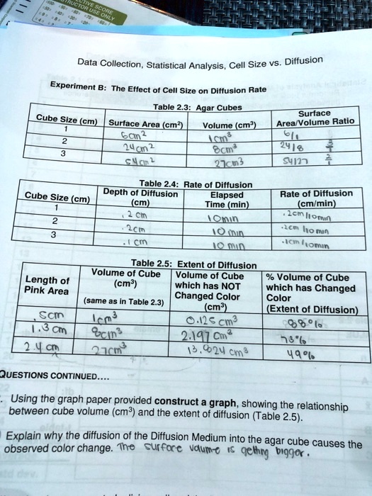 SOLVED: Data Collection Statistical Analysis, Cell Size vs. Diffusion ...