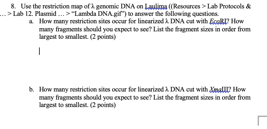 SOLVED:Use the restriction map of 1 genomic DNA on Laulima ((Resources > Lab Protocols & Lab 12 ...