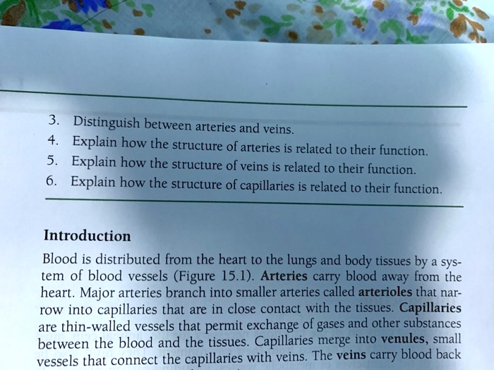 SOLVED: Distinguish between arteries and veins. Explain how the ...