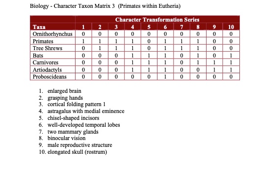biology character taxon matrix primates within eutheria character ...