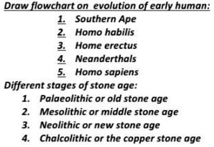 SOLVED: Please answer this question. Draw flowchart on the evolution of ...