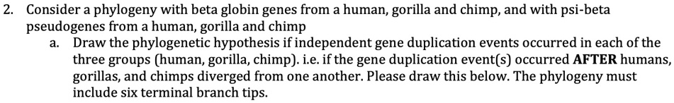 SOLVED: 'Consider a phylogeny with beta globin genes from a human ...