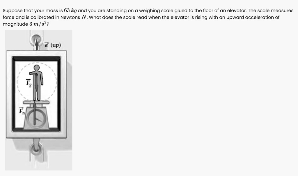 suppose that your mass is 63 kg and you are standing on a weighing ...