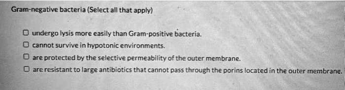 Gram-negative bacteria (Select all that apply) undergo lysis more easily than Gram-positive ...