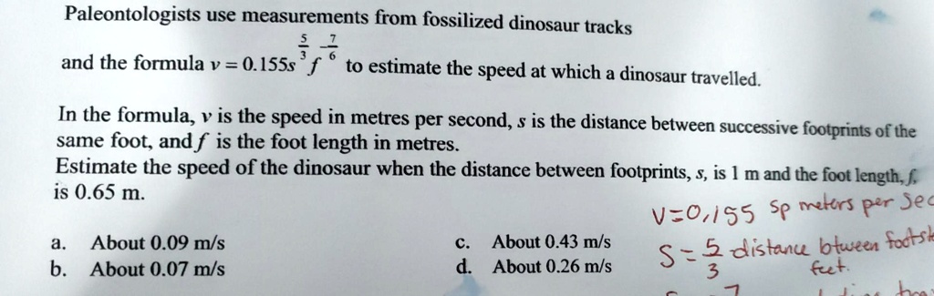 Paleontologists use measurements from fossilized dinosaur tracks and ...