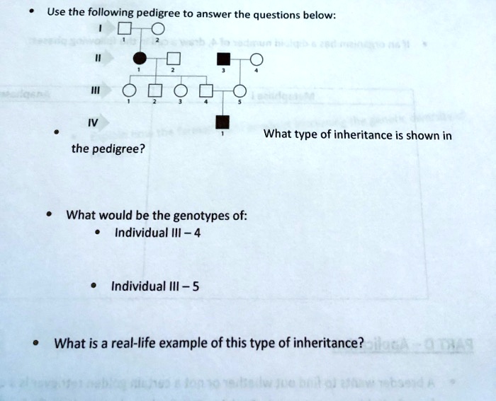 [GET ANSWER] use the following pedigree to answer the questions below ...