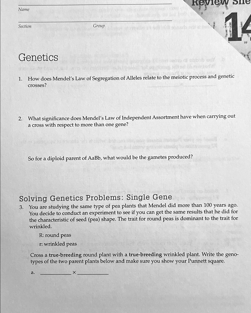 SOLVED: Name Section Group Genetics How does Mendel's Law of ... SOLVED: Name Section Group Genetics How does Mendel's Law of ...
