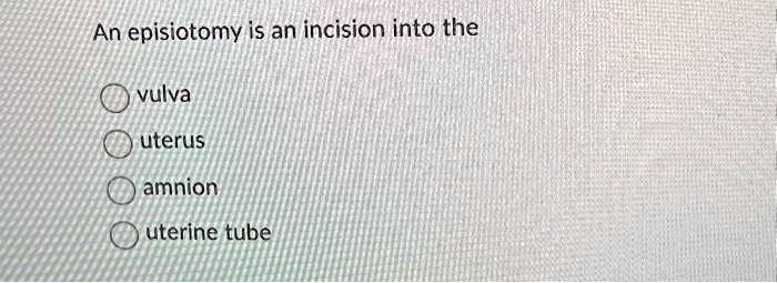 An episiotomy is an incision into the ? vulva ? uterus ? amnion ...
