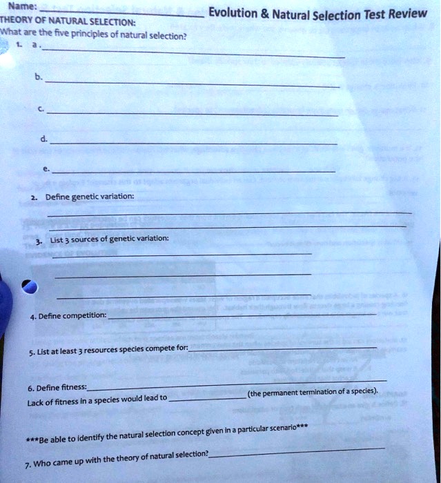 SOLVED: Name: The Theory of Natural Selection: What are the five ...