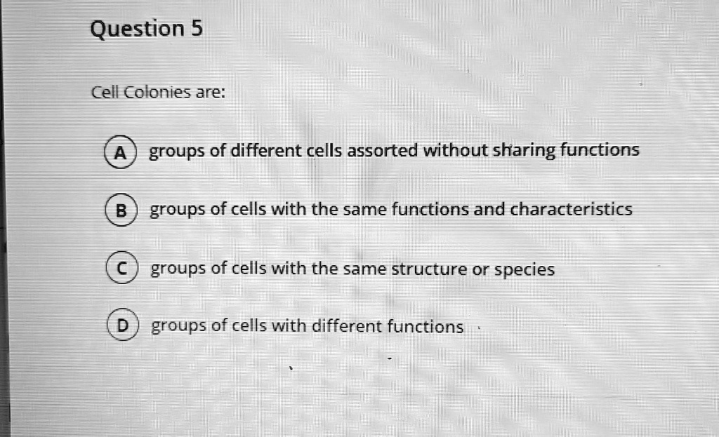 SOLVED: Cell Colonies are: A. groups of different cells assorted ...