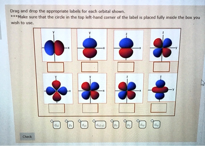 drag and drop the appropriate labels for each orbital shown make sure ...