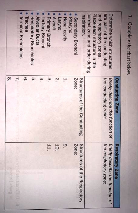 1. Complete the chart below. Determine which structures are part of the ...