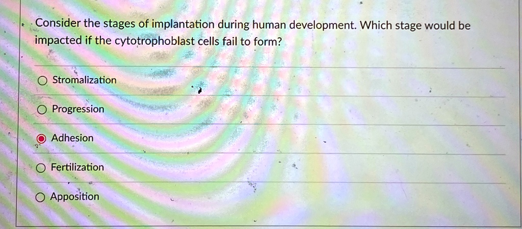 Consider the stages of implantation during human development. Which ...
