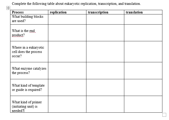 complete the following table about eukaryotic replication transcription ...