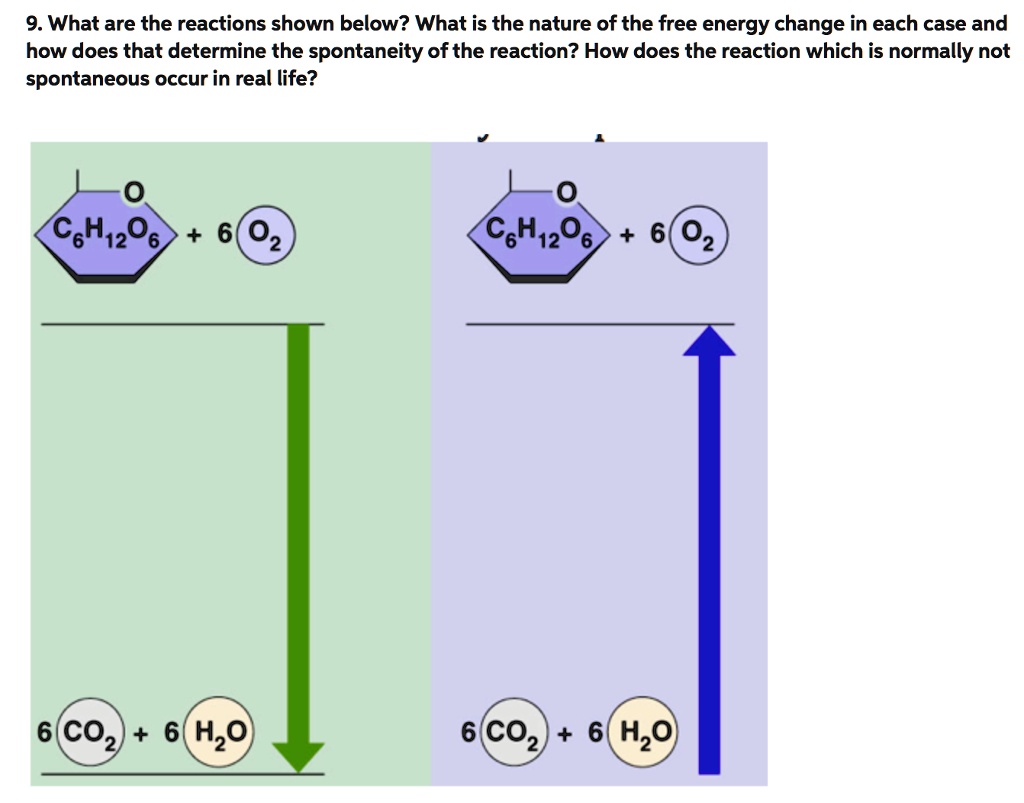 SOLVED: 9. What are the reactions shown below? What is the nature of ...