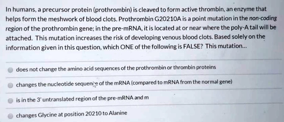 in humans a precursor protein prothrombin is cleaved to form active ...