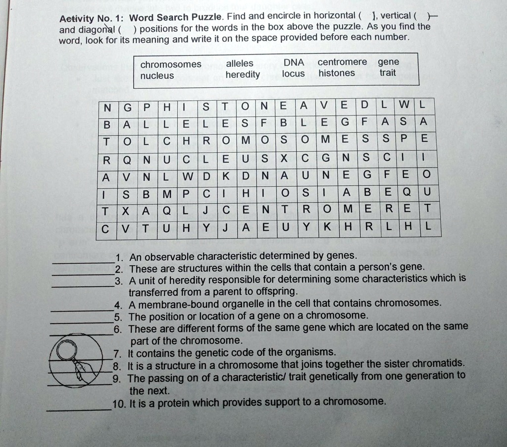 [GET ANSWER] aetivity no 1 word search puzzle find and encircle in ...