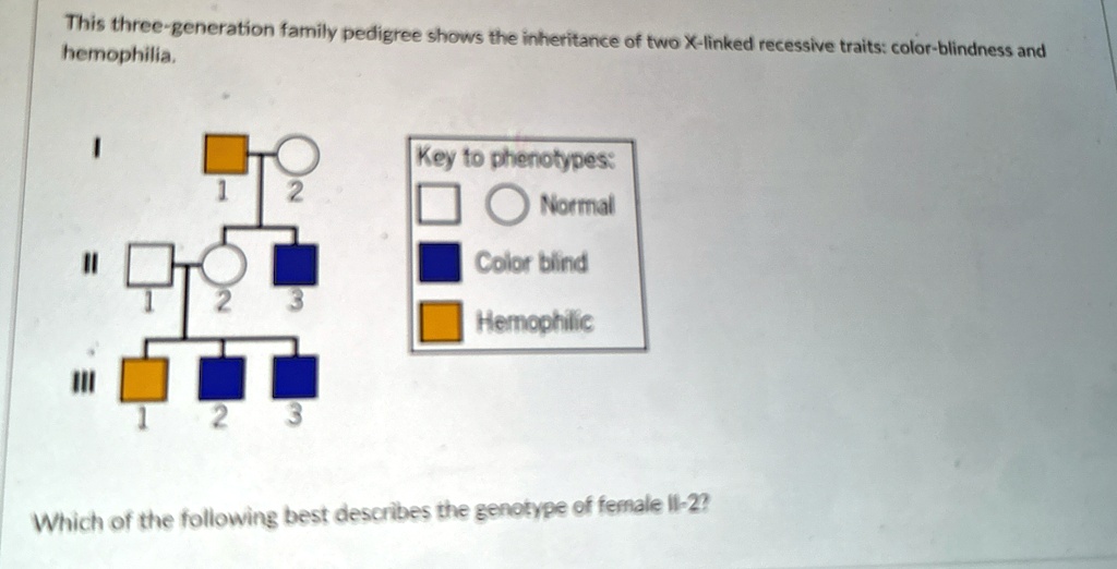This three-generation family pedigree shows the inheritance of two X ...