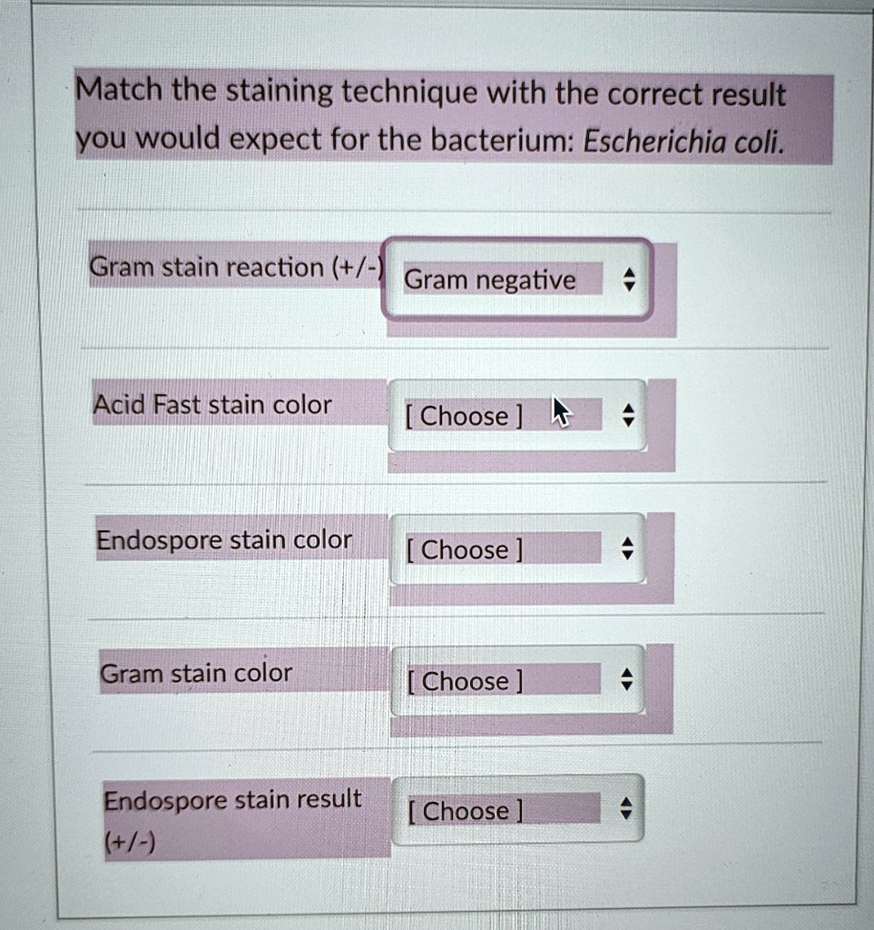 Match the staining technique with the correct result you would expect ...