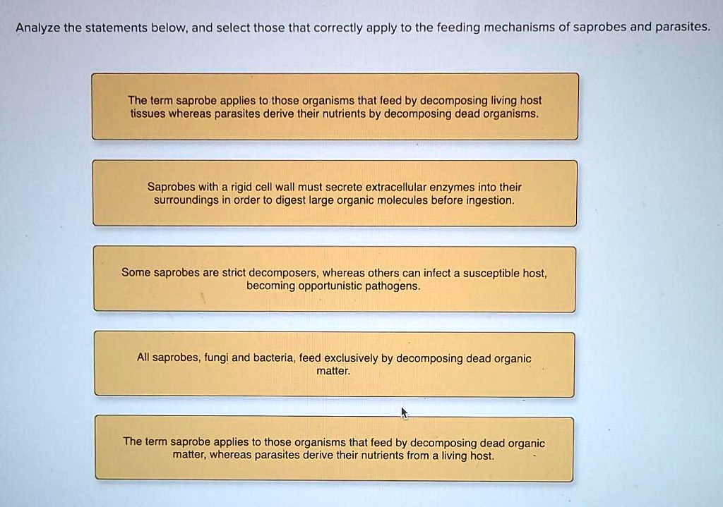 analyze the statements below and select those that correctly apply to ...