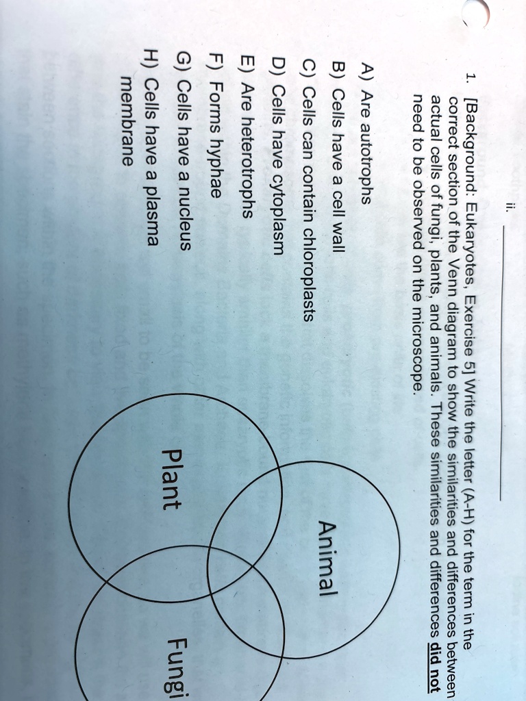 ii. 1. [Background: Eukaryotes, Exercise 5] Write the letter (A-H) for ...