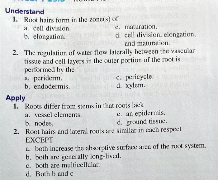 Understand 1. Root hairs form in the zone(s) of a. cell division. b ...
