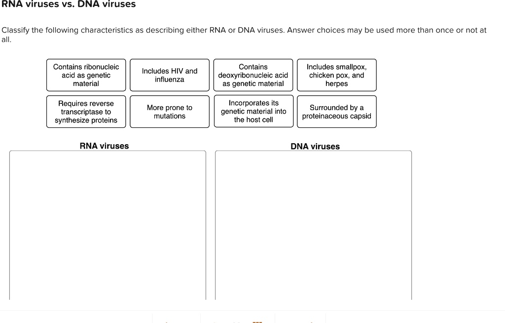 RNA viruses VS: DNA viruses Classify the following characteristics as ...