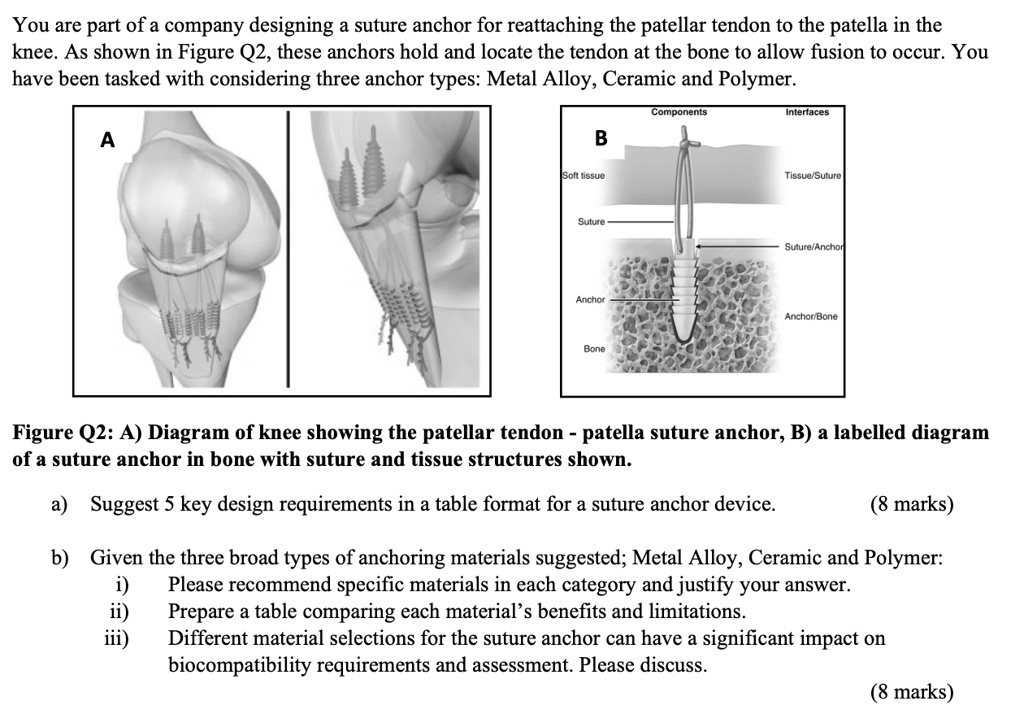 You are part of a company designing a suture anchor for reattaching the ...