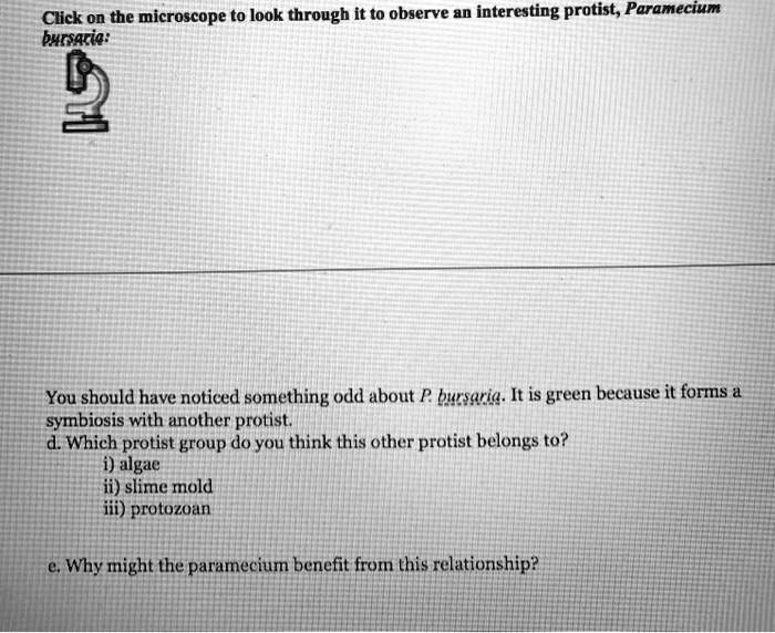 click on the microscope t0 look through it to observe an interesting ...