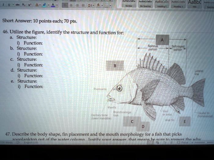SOLVED:AaBbCcDf DijccOdL AaBbl Short Answer: 10 points each; 70 pts. 46 ...