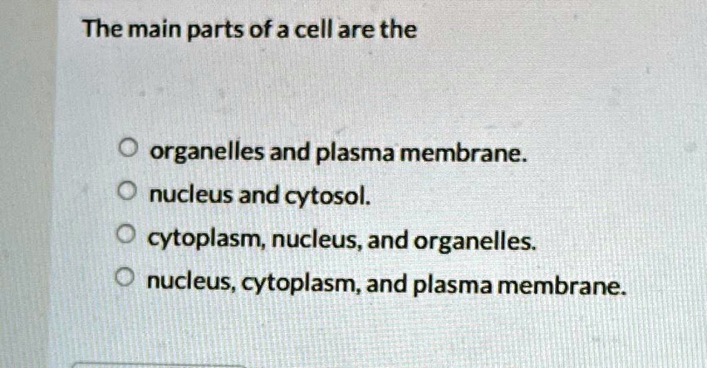 the main parts of a cell are the organelles and plasma membrane nucleus ...