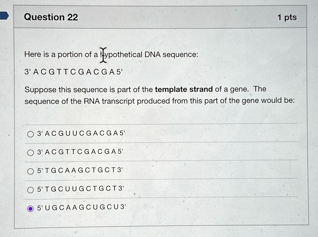 Question 22 1 pts Here is a portion of a hypothetical DNA sequence: 3'ACGTTCGACGA5' Suppose this ...