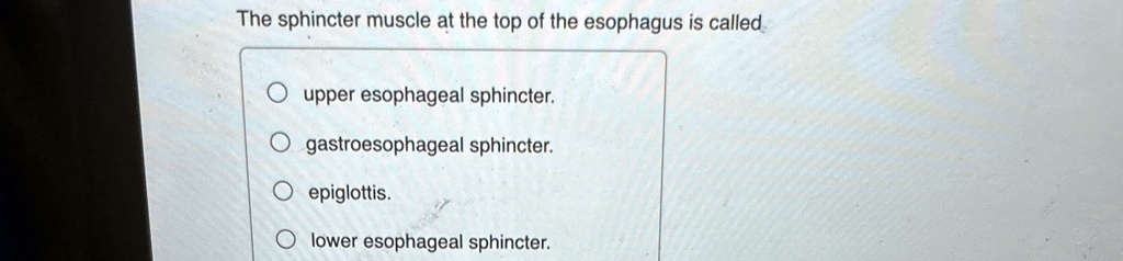 [GET ANSWER] the sphincter muscle at the top of the esophagus is called ...