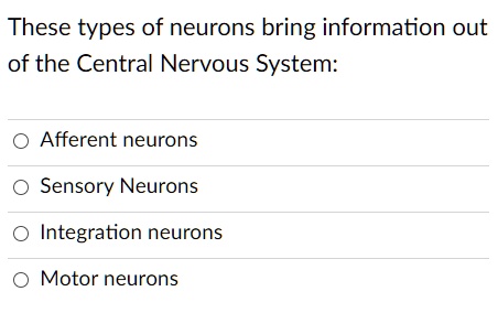SOLVED: These types of neurons bring information out of the Central Nervous System: Afferent ...
