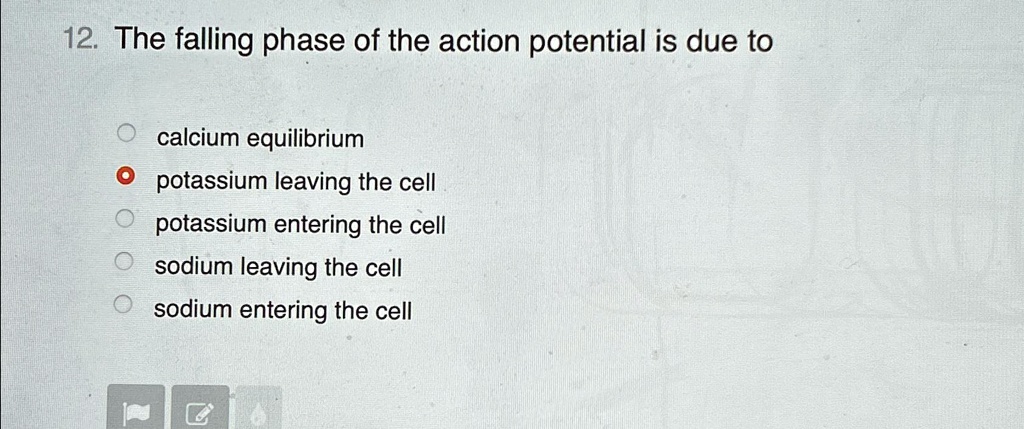 12. The falling phase of the action potential is due to calcium ...