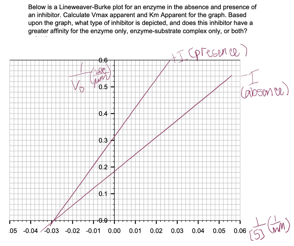 Below is a Lineweaver-Burke plot for an enzyme in the absence and presence of an inhibitor ...