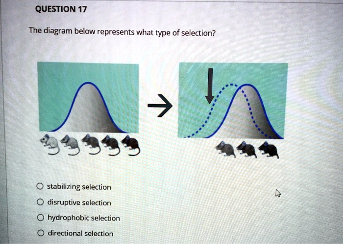 SOLVED: QUESTION 17 The diagram below represents what type of selection? stabilizing selection ...