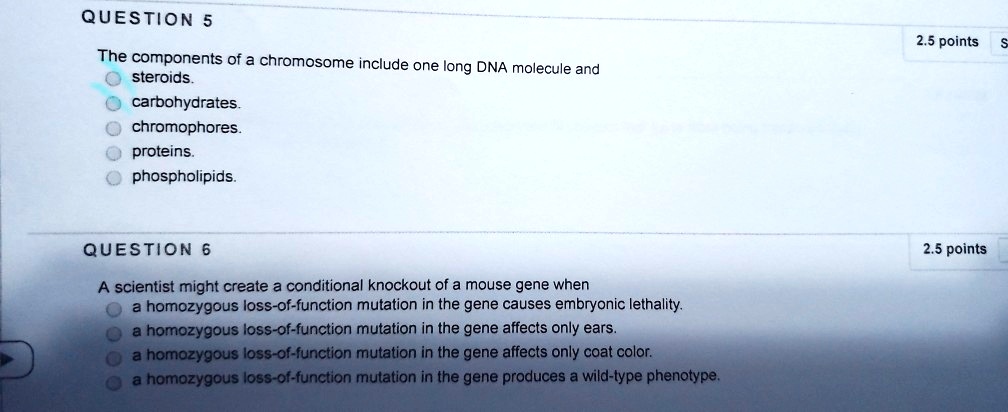 SOLVED: QUEsTion The components of a chromosome include one long DNA ... SOLVED: QUEsTion The components of a chromosome include one long DNA ...
