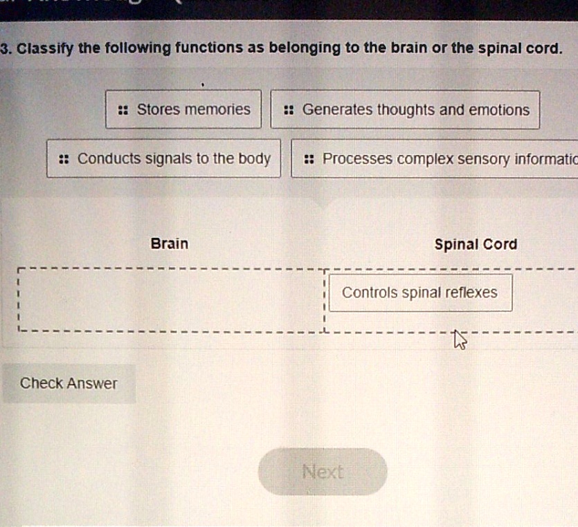 SOLVED: Anatomy and Physiology